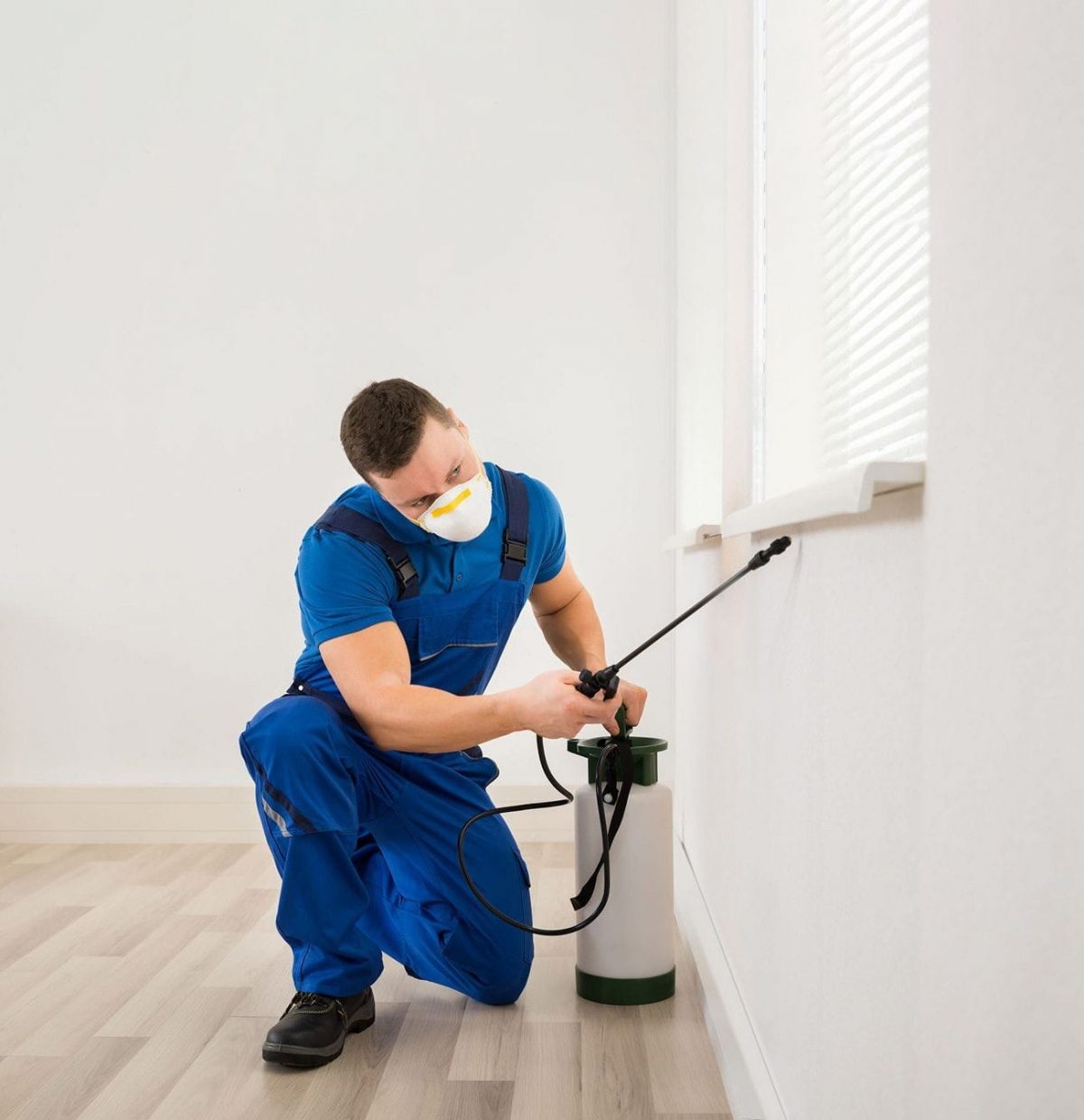 You Should Know About Residential Pest Control | Beaches Pest Control